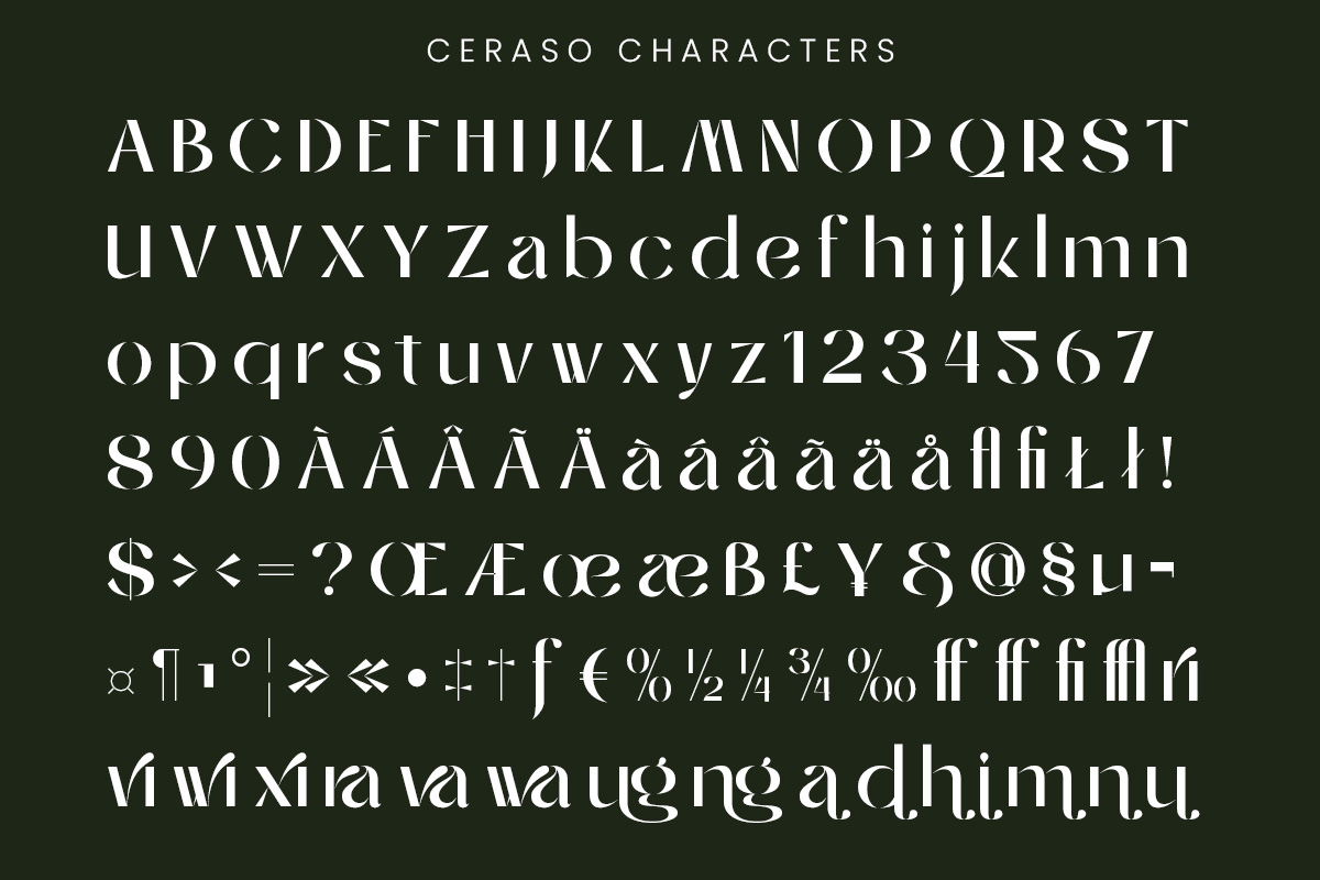 Roomspace Creative Lab — Premium Type Foundry
